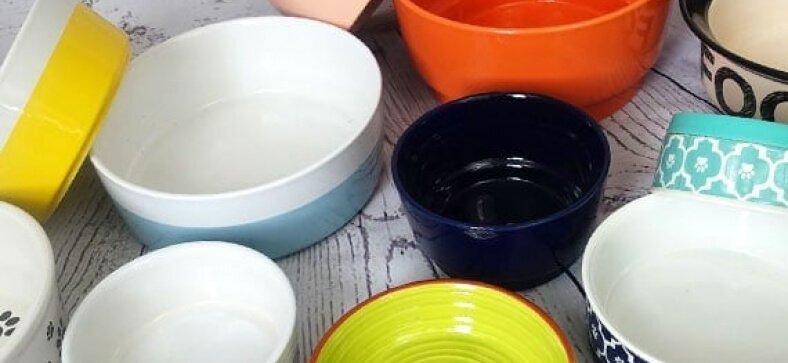 Best Dog Bowls for Dachshunds – Ideal for Long Noses!
