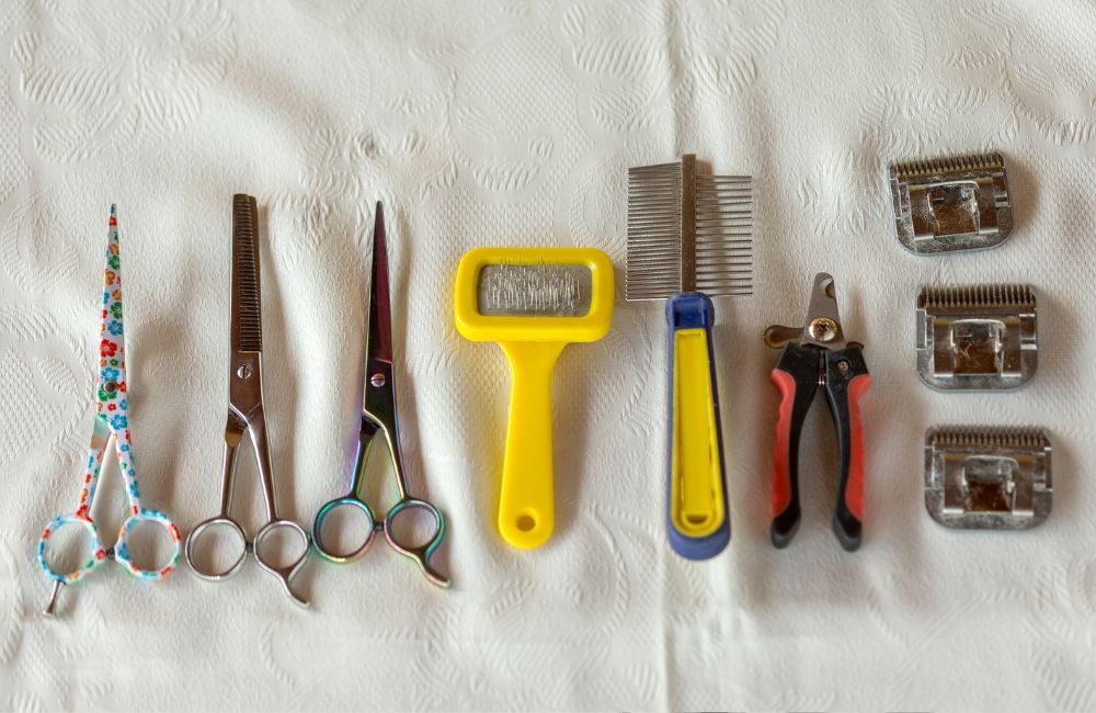 Best Grooming Tools for Older Dogs with Sensitive Skin