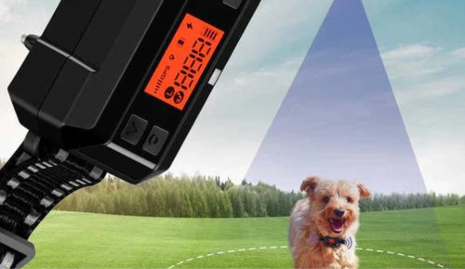 Square Shape Wireless Dog Fence at Rose Hutchinson blog