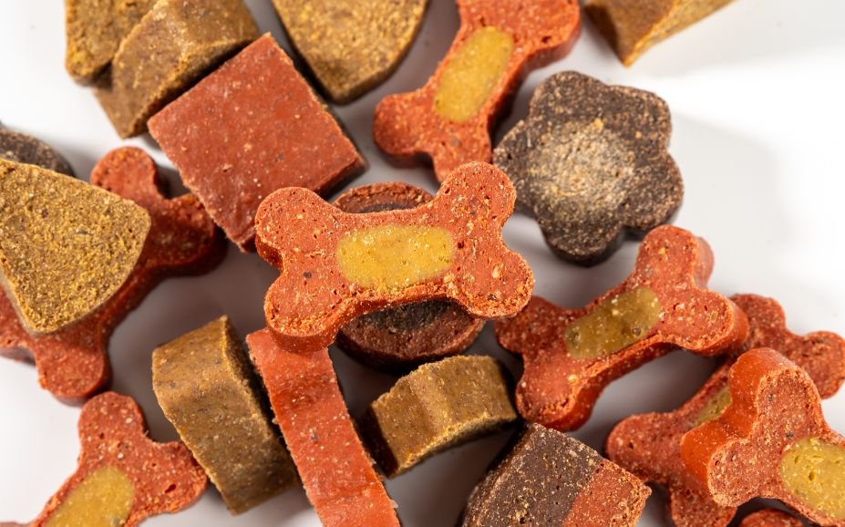 Top 10 Best Dry Dog Food Brands for (2024) | Expert Recommendation